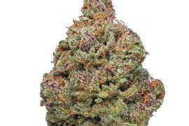 Afghan Kush Cannabis (Weed) Strain Review - Happy Smoking