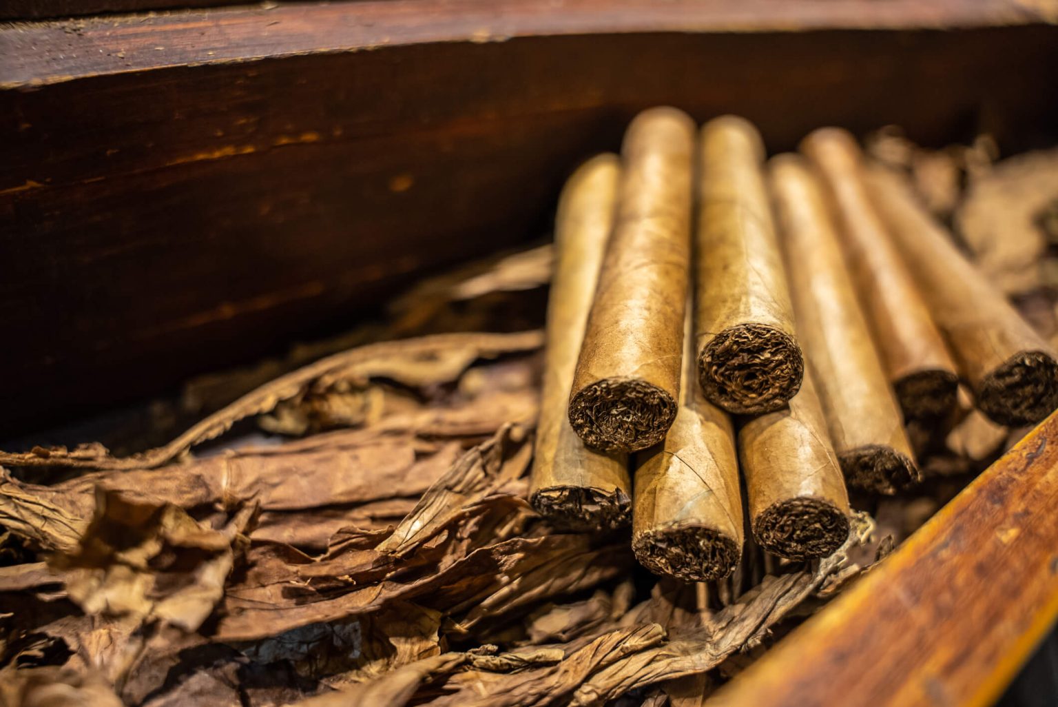 Aging Cigars: A Detailed Guide to Improving Your Smokes Over Time ...